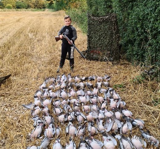 Pigeon Shooting - Yorkshire Shooting Academy